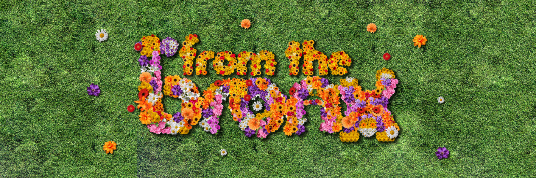 Spring into Spring . . . and Everything Else! — From The Bronx